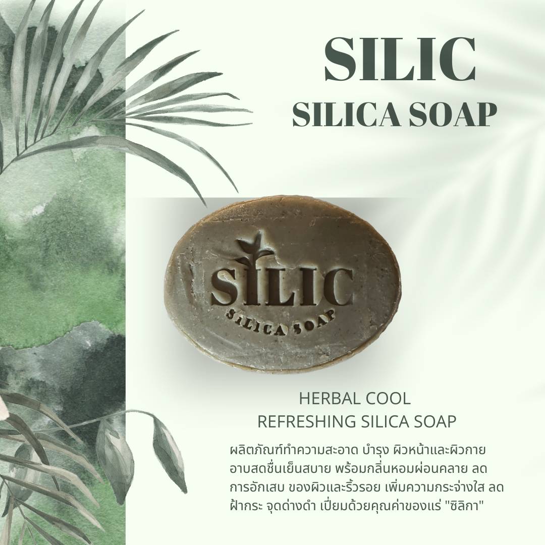 สินค้าของเรา | SILICNATURAL